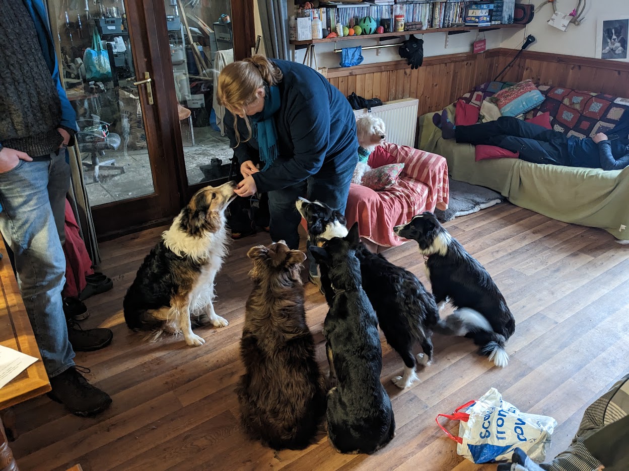 December 2022: photo blog! – The Cairngorm Reindeer Herd