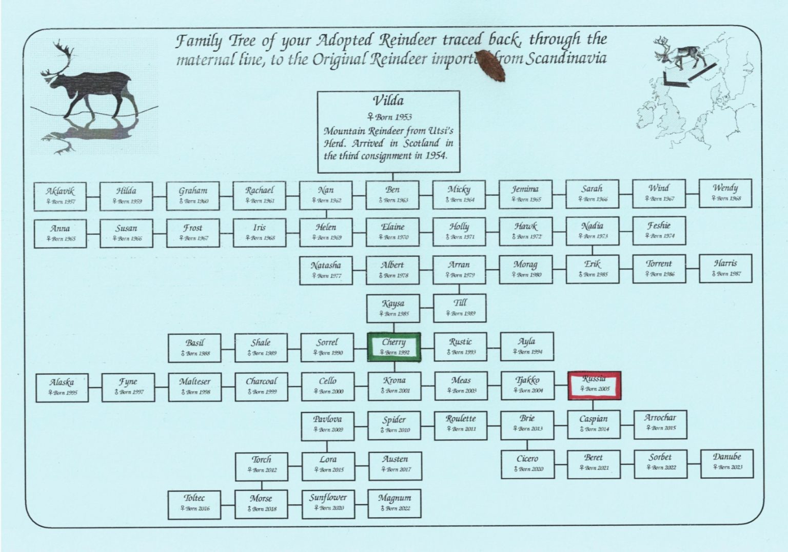 Blog - The Cairngorm Reindeer Herd