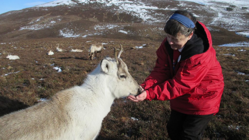 7th June 2019 - The Cairngorm Reindeer Herd