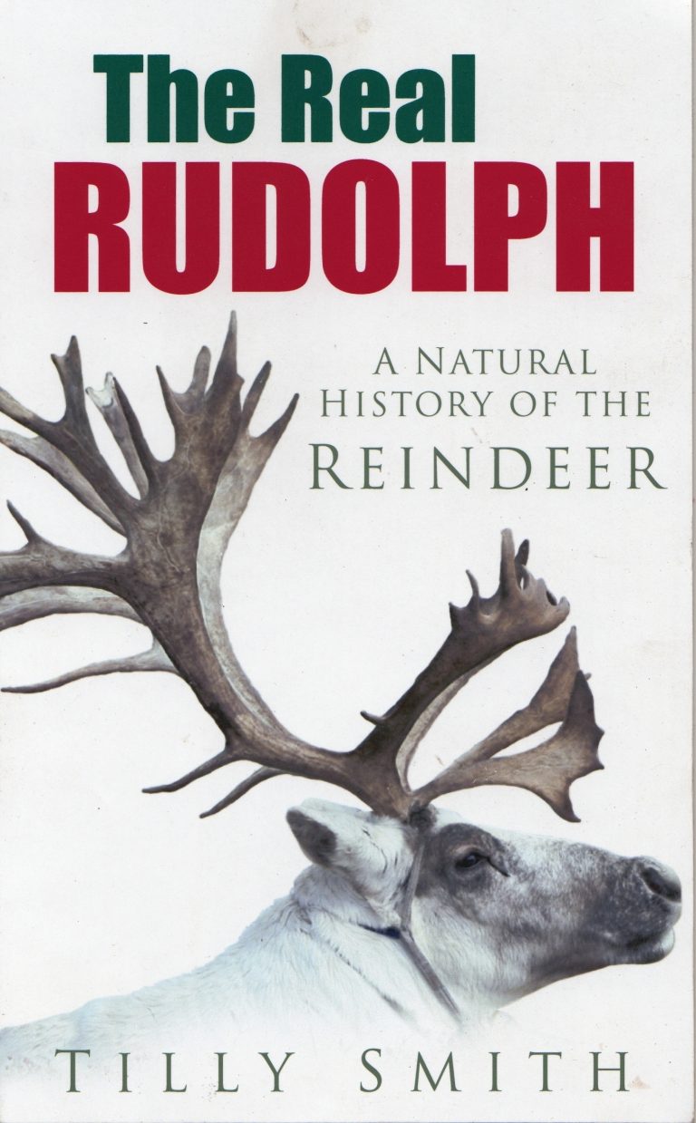 The Real Rudolph - The Cairngorm Reindeer Herd