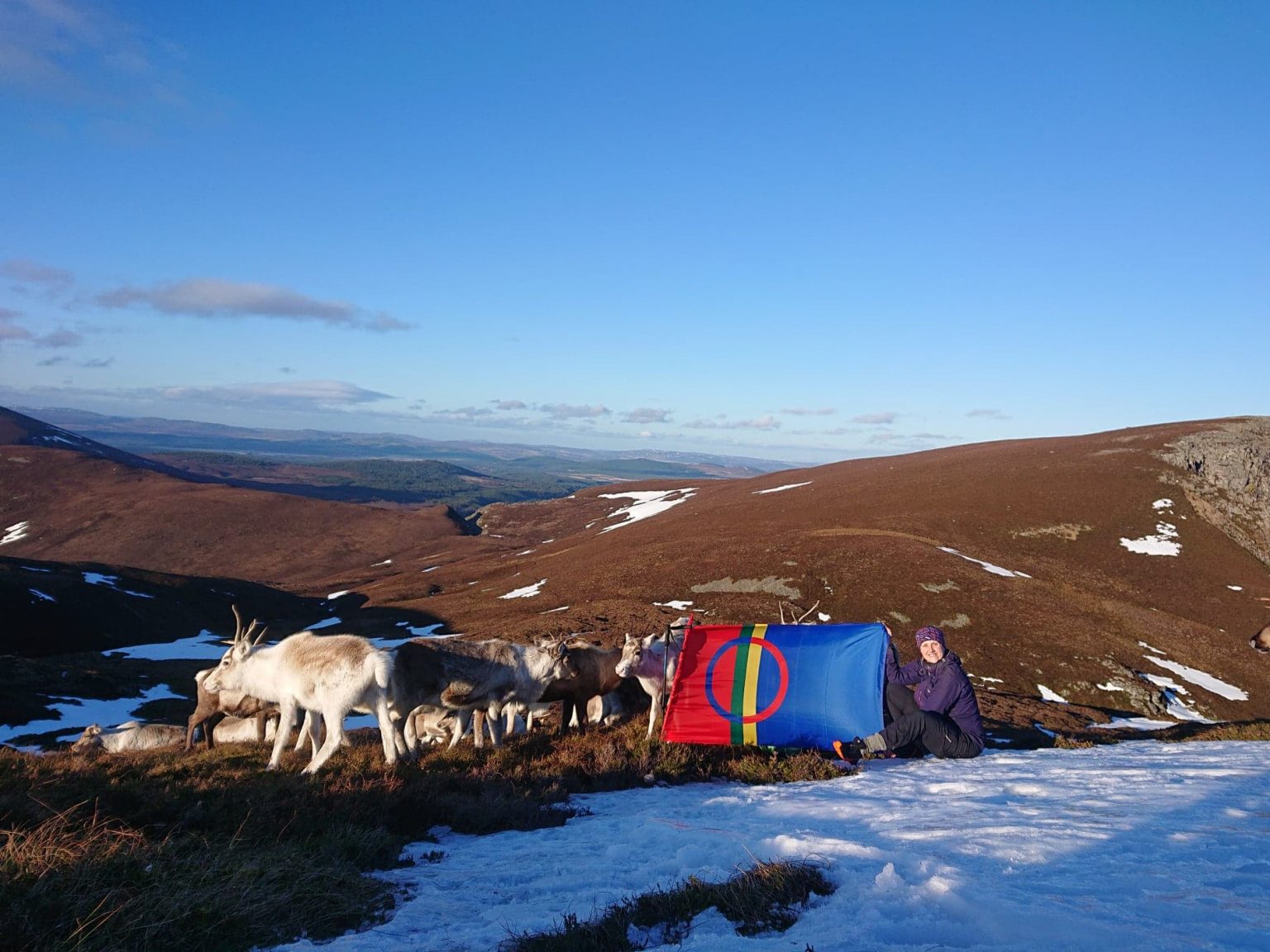 The Sámi Flag and the Children of the Sun - The Cairngorm Reindeer Herd