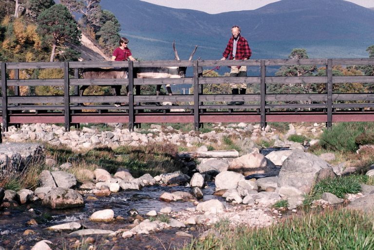 Utsi Bridge - The Cairngorm Reindeer Herd