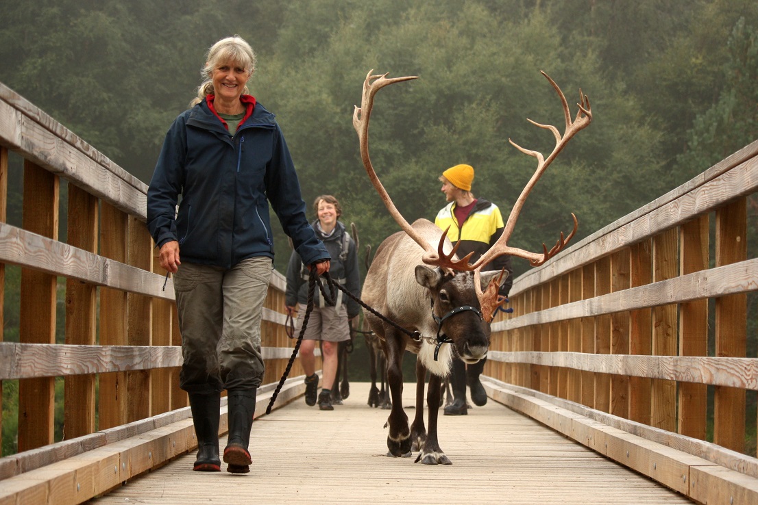 Utsi Bridge - The Cairngorm Reindeer Herd