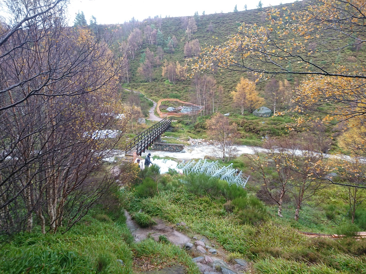 Utsi Bridge - The Cairngorm Reindeer Herd