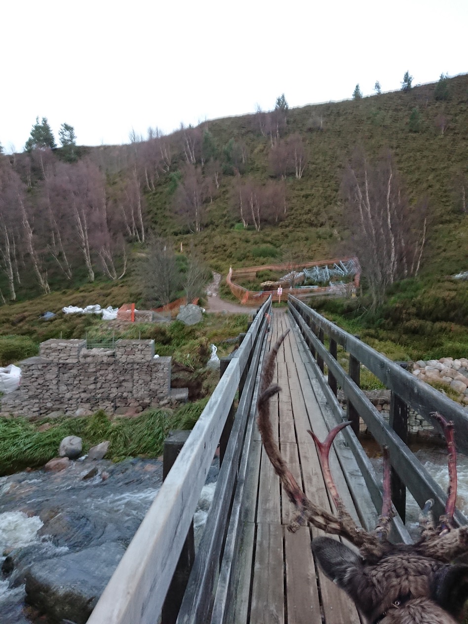 Utsi Bridge - The Cairngorm Reindeer Herd