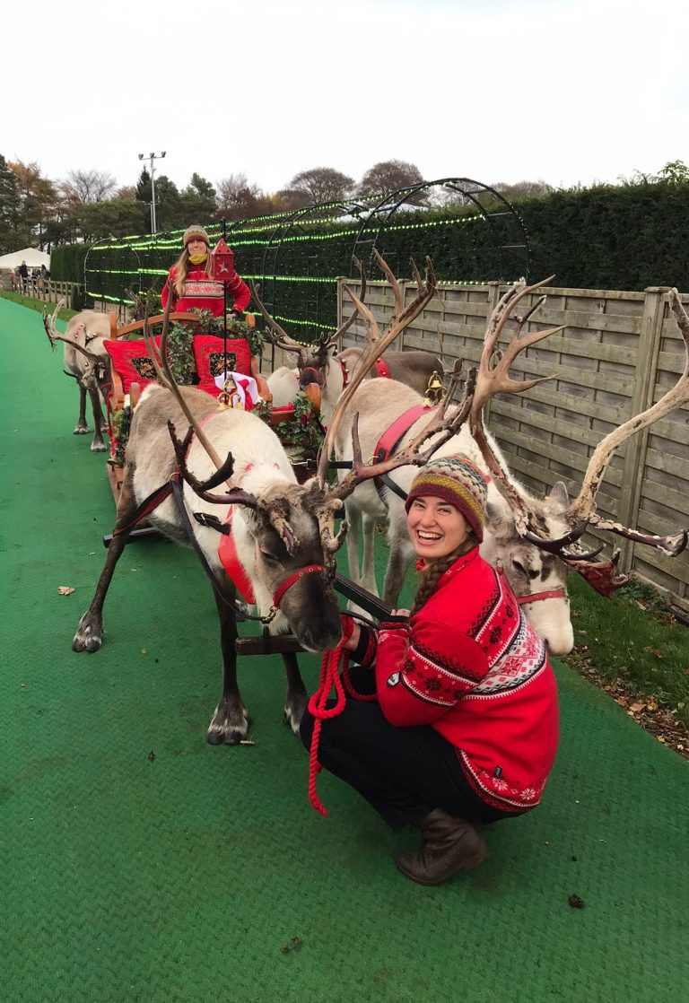 Reindeer Myth Buster - The Cairngorm Reindeer Herd