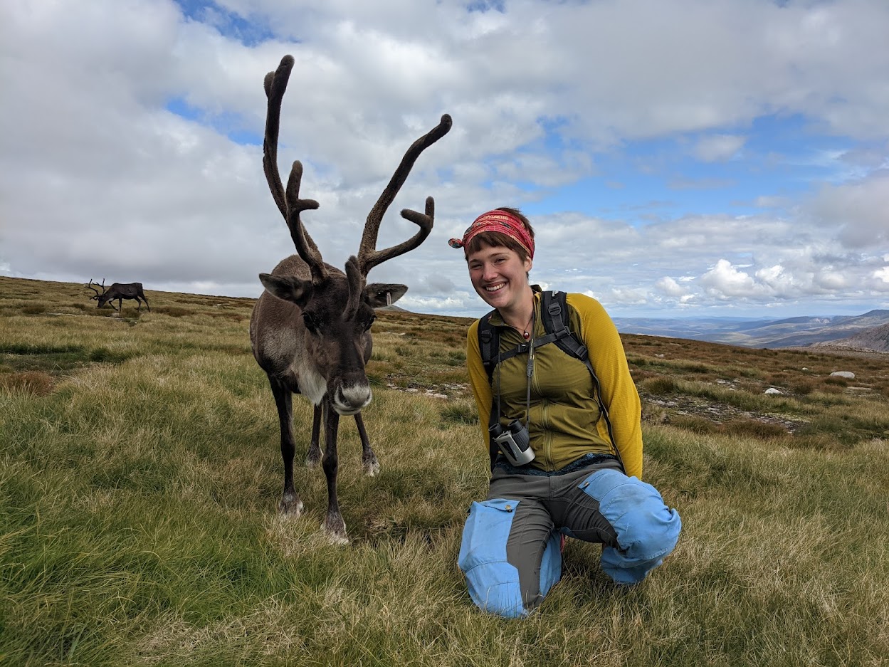 Reindeer Herders 2021 - The Cairngorm Reindeer Herd