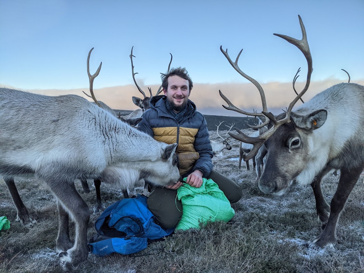 Reindeer Herders 2021 - The Cairngorm Reindeer Herd