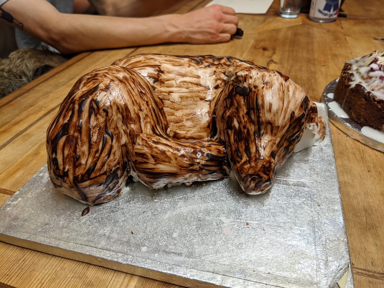 Blog - The Cairngorm Reindeer Herd