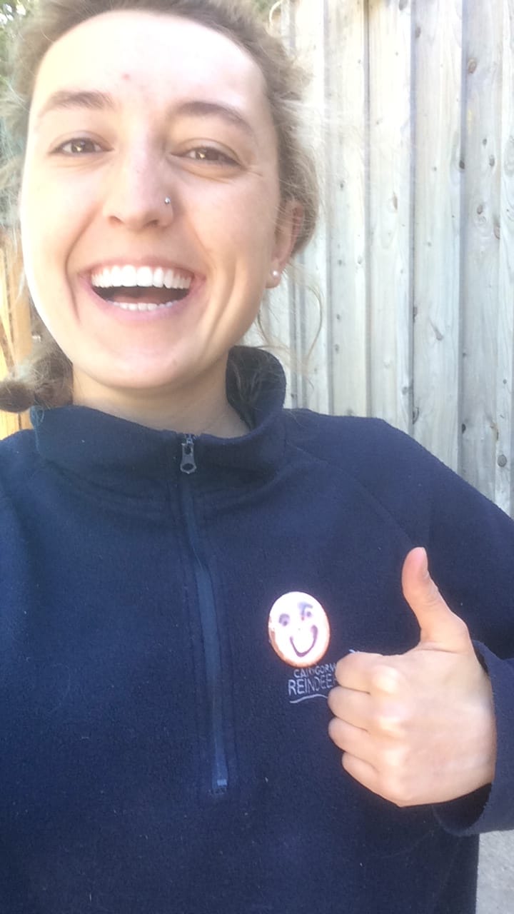 The Legend of the Pink Badge – The Cairngorm Reindeer Herd