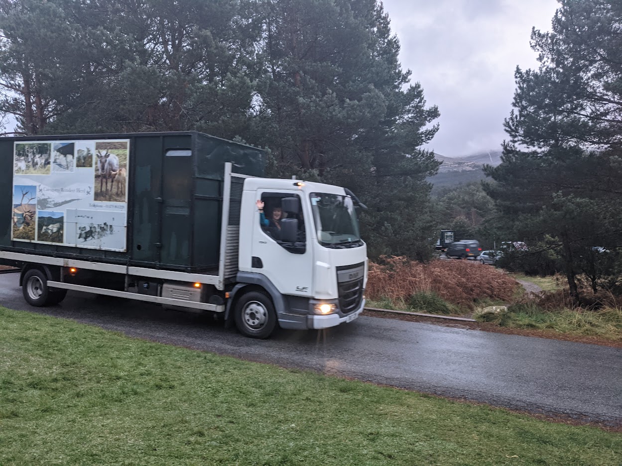 Christmas 2022 - The Cairngorm Reindeer Herd