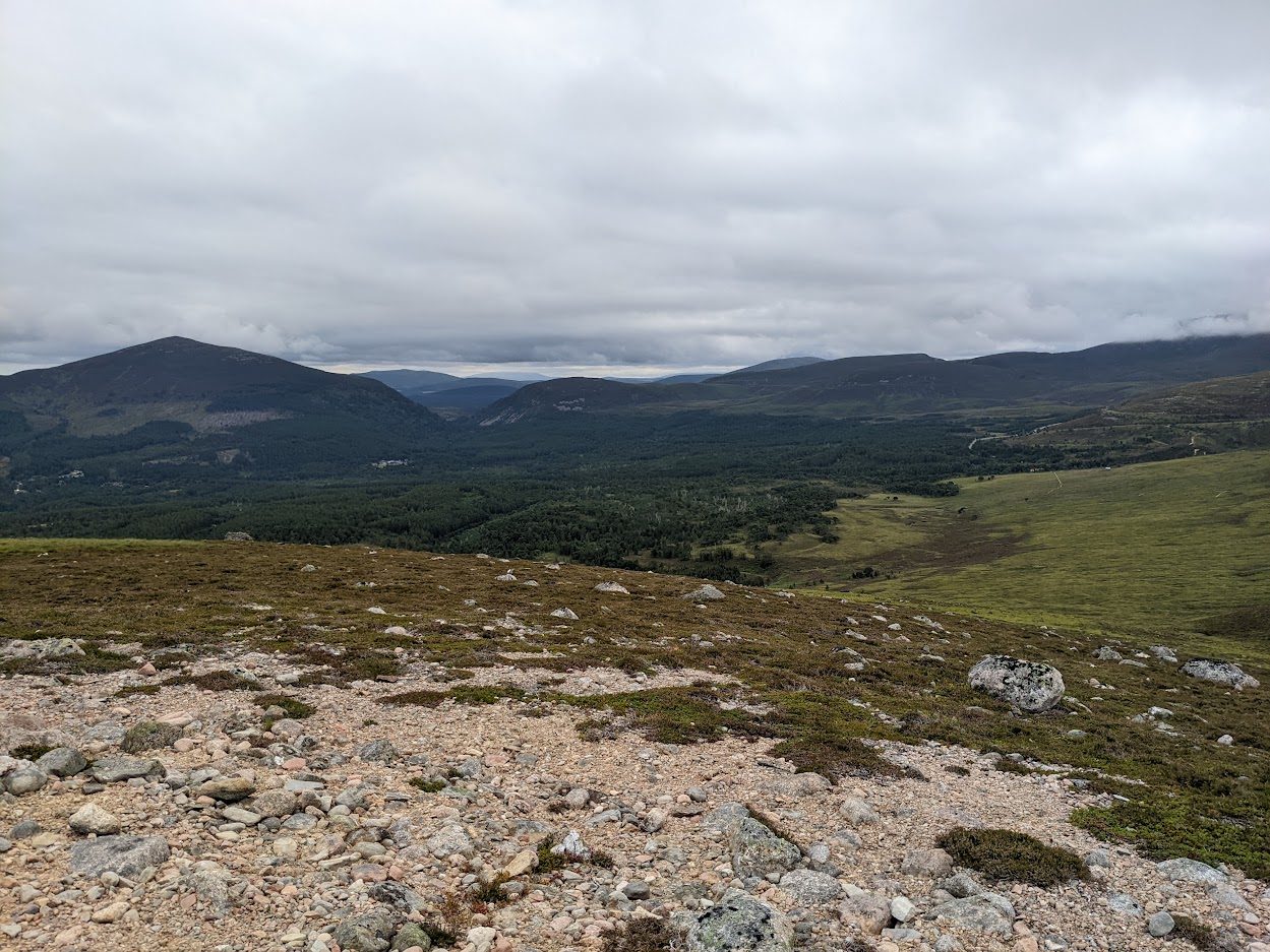 23rd September 2022 - The Cairngorm Reindeer Herd