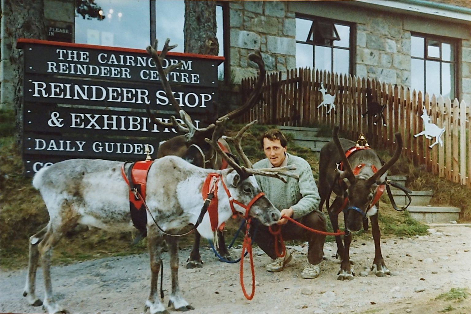 A New Reindeer Centre - The Cairngorm Reindeer Herd