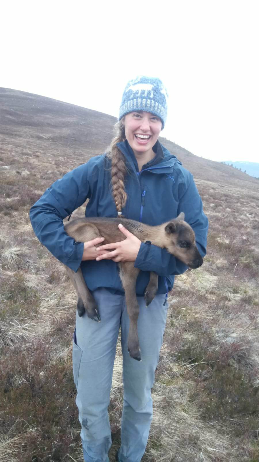 2020 calves – then and now (Part 1 – the females). - The Cairngorm ...