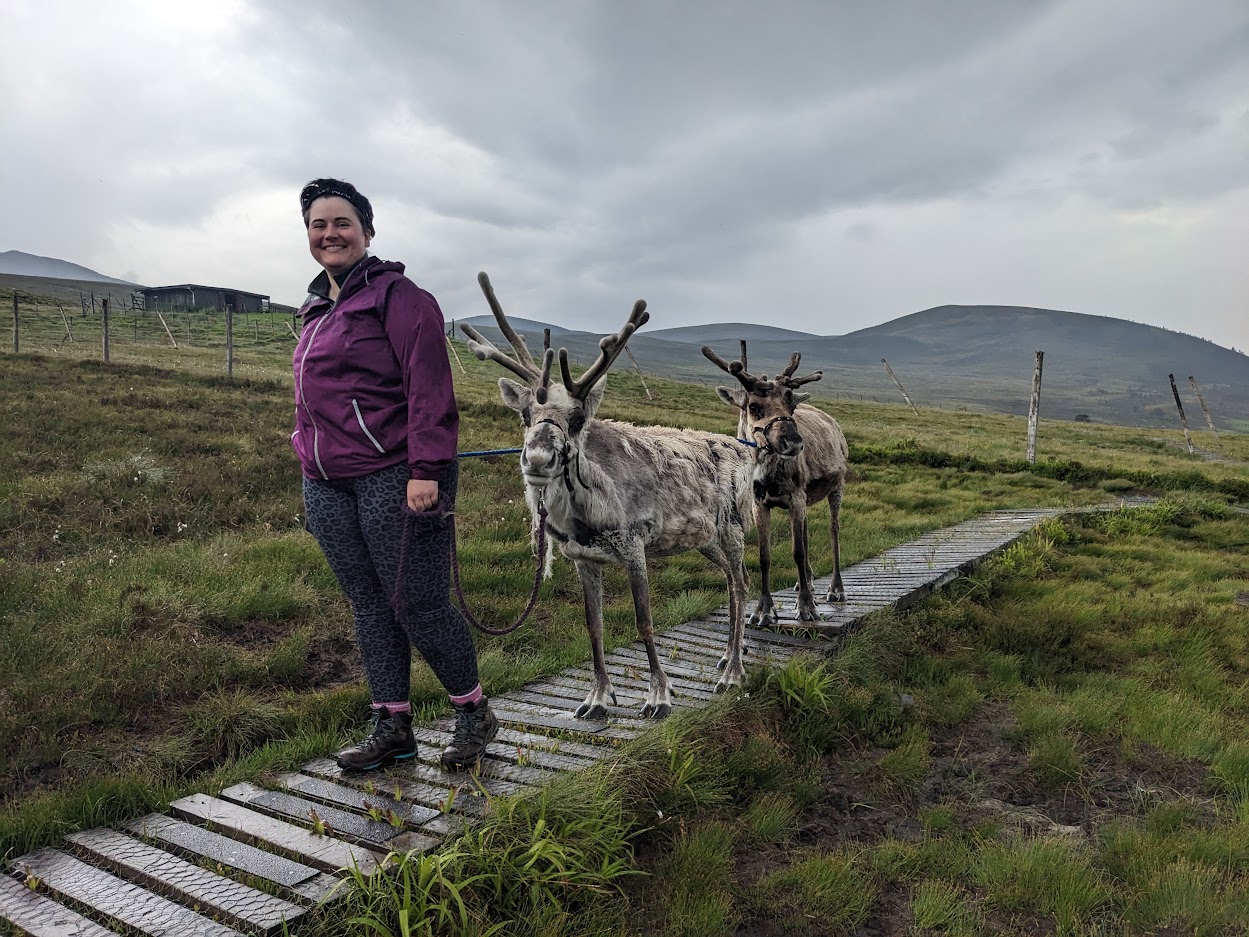 Photo Blog: June 2023 - The Cairngorm Reindeer Herd