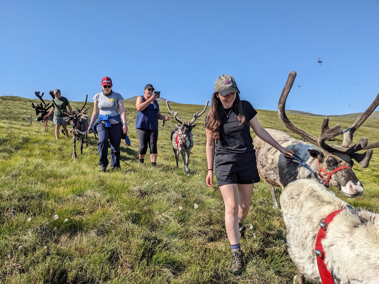 Photo Blog: June 2023 - The Cairngorm Reindeer Herd
