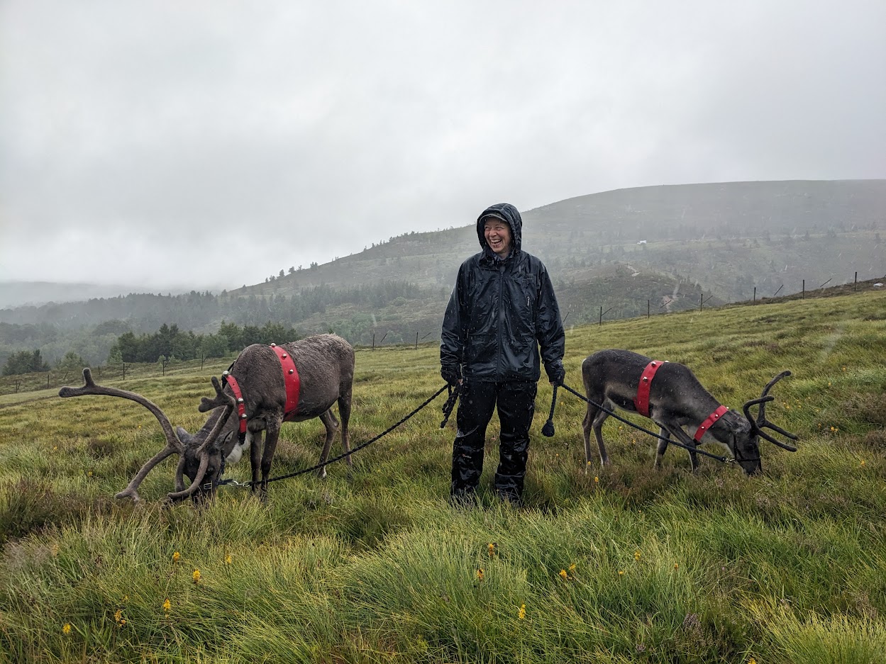 Training Reindeer - The Cairngorm Reindeer Herd