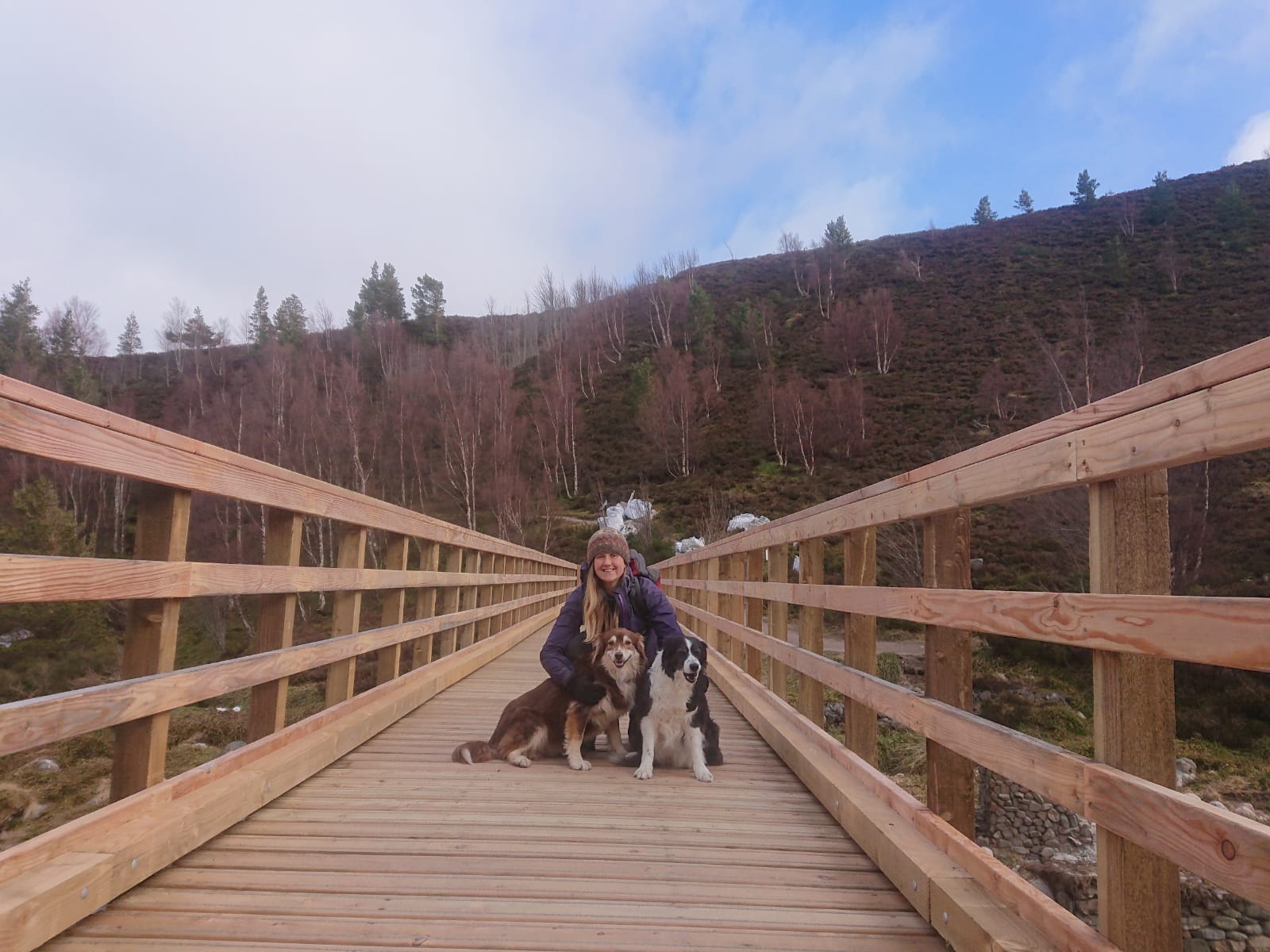 Sookie Obituary - The Cairngorm Reindeer Herd