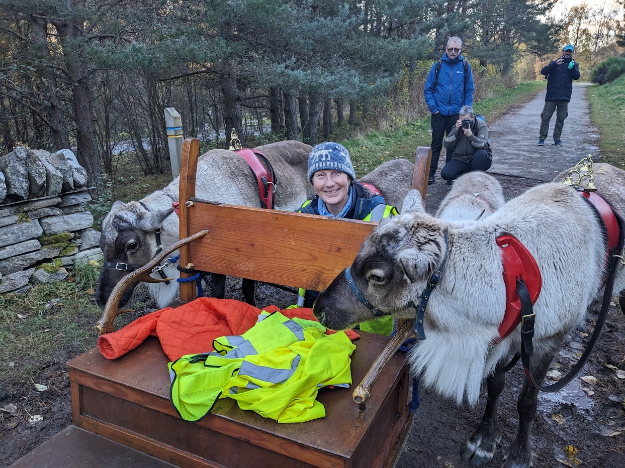 Photo Blog: A Typical Sleigh Training Session - The Cairngorm Reindeer Herd