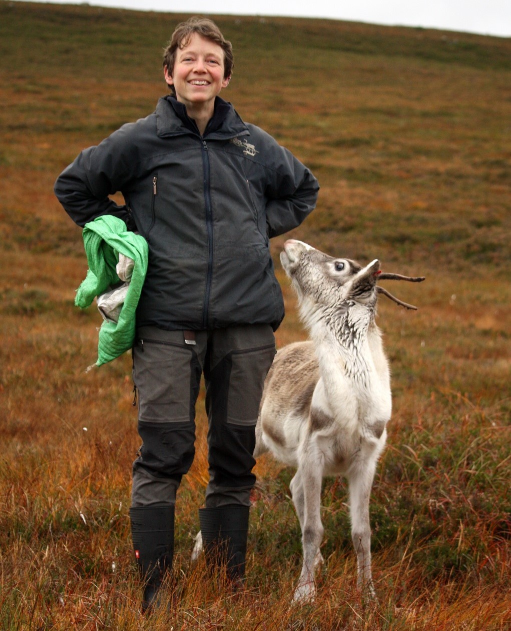 The Story of Zoom - The Cairngorm Reindeer Herd