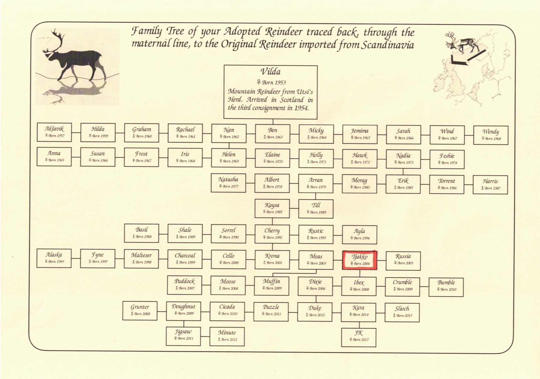A Family Affair - The Cairngorm Reindeer Herd