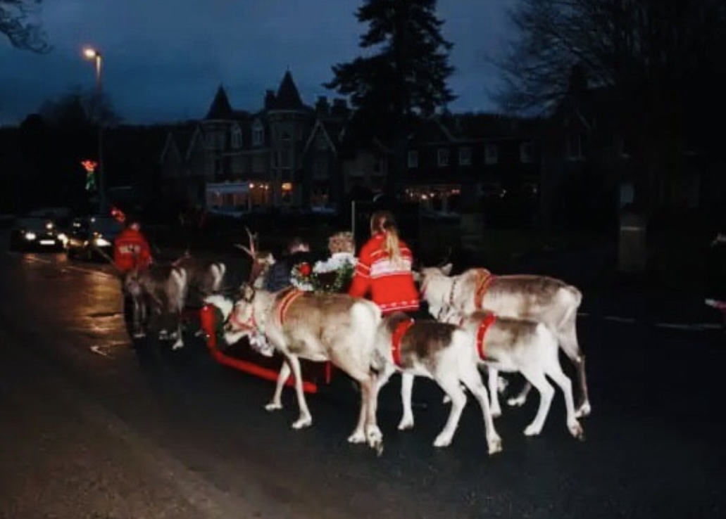 How Isla became a reindeer herder… - The Cairngorm Reindeer Herd