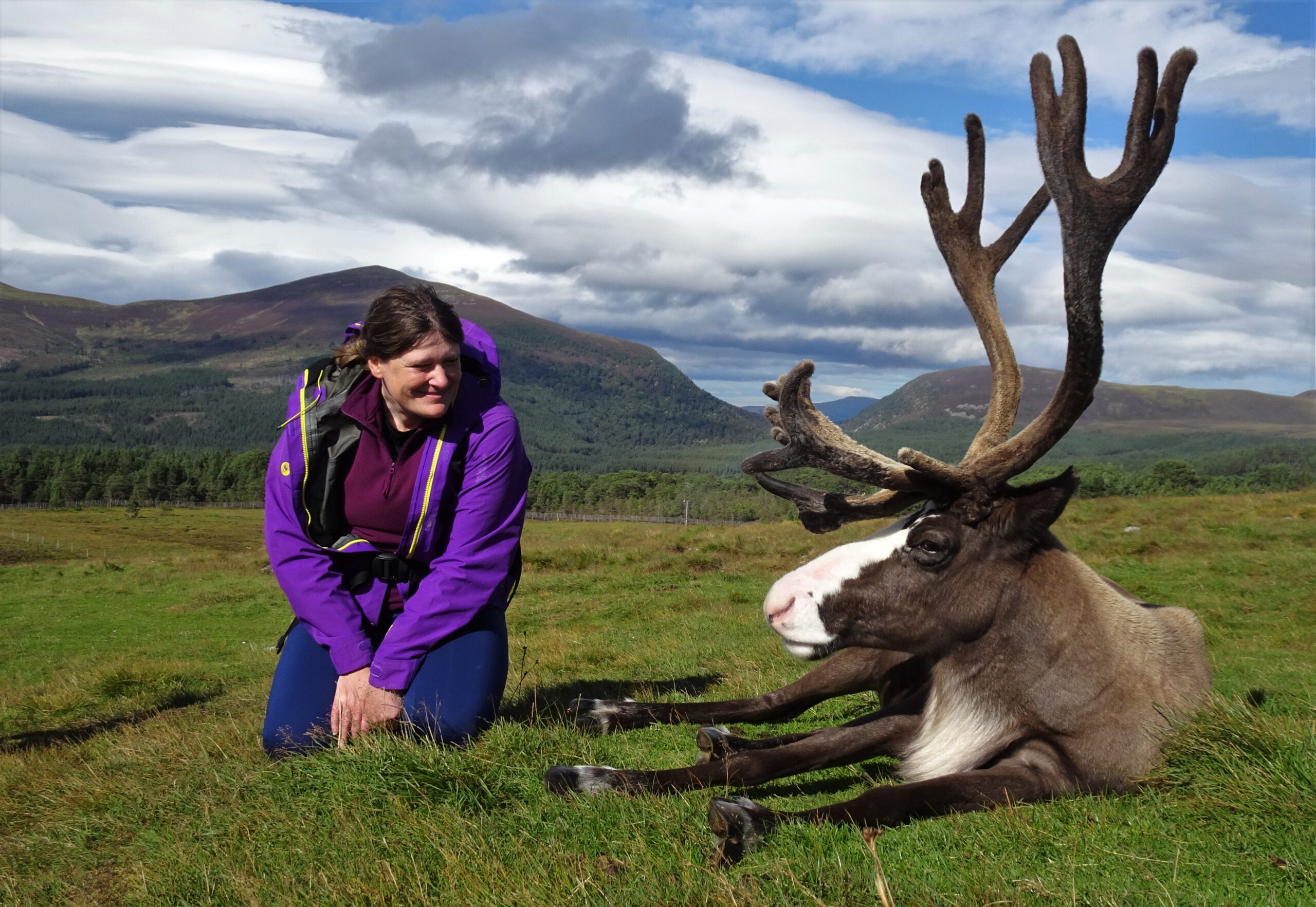 Times a changin’ - The Cairngorm Reindeer Herd