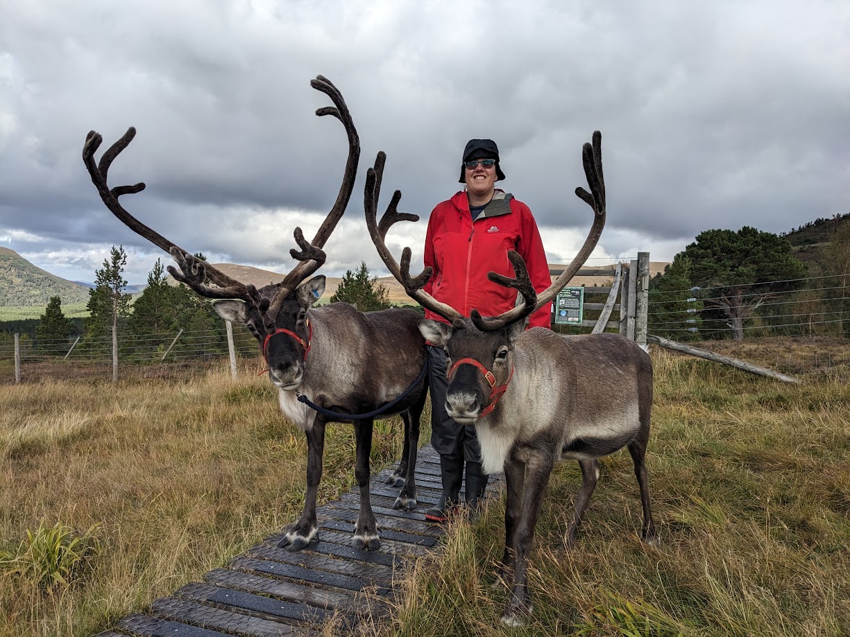 Photo Blog: September 2024 - The Cairngorm Reindeer Herd