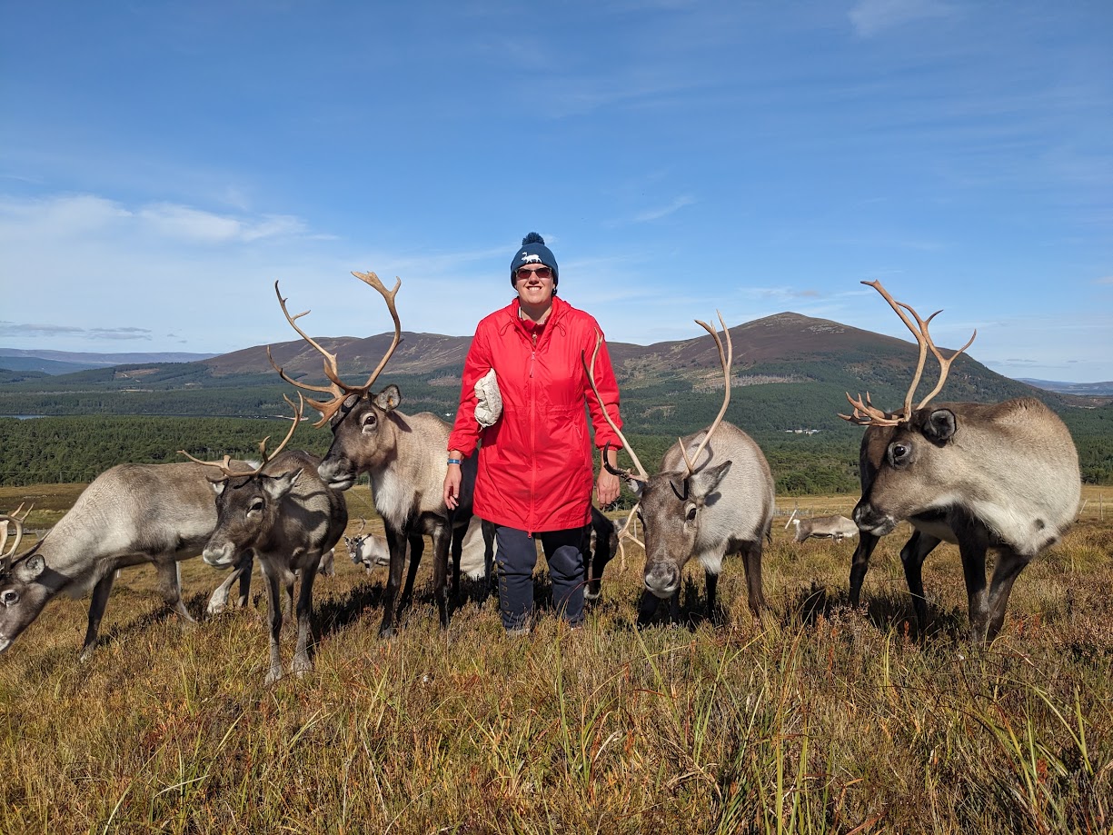 Photo Blog: September 2024 - The Cairngorm Reindeer Herd