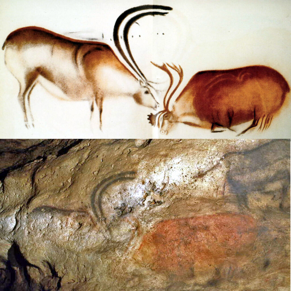 Stone Age Reindeer Art - The Cairngorm Reindeer Herd