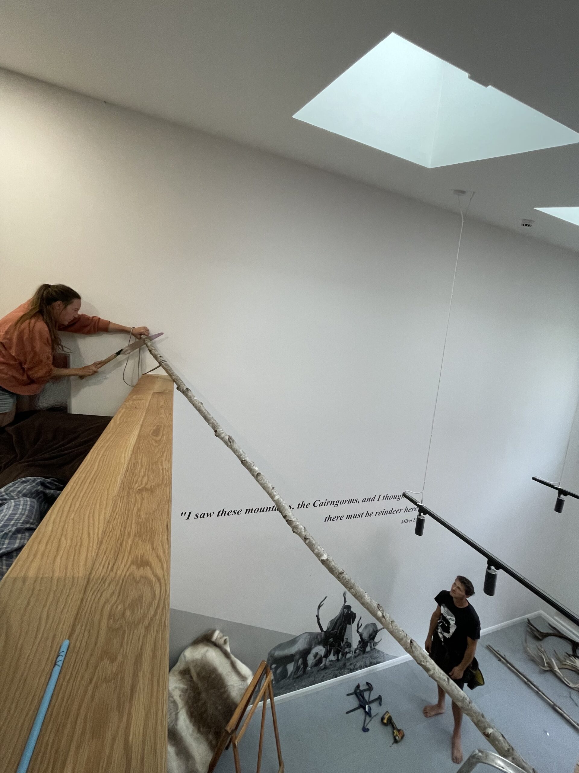 Blog - The Cairngorm Reindeer Herd